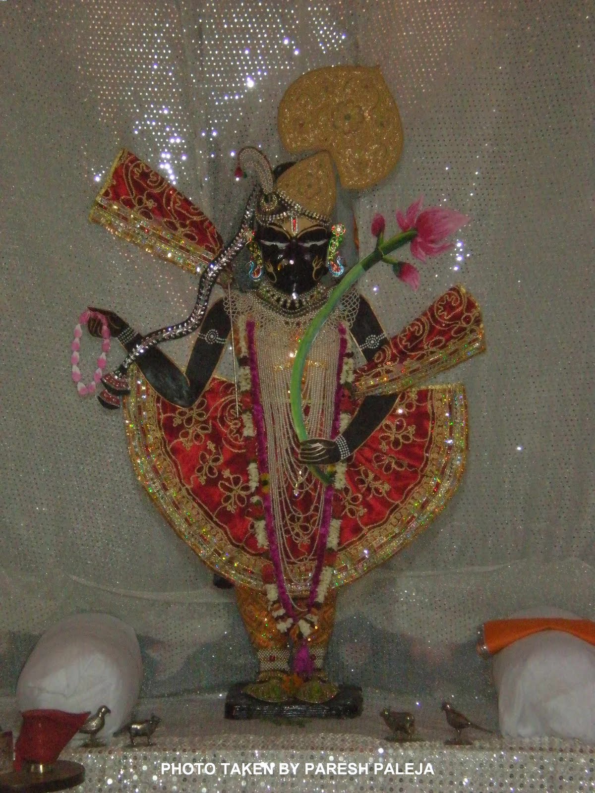 Mumbai Cha Ganpati: Fort Cha Raja-2010