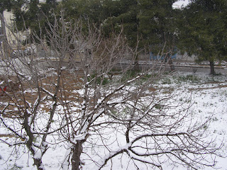 ΑΝΤΩΝΗΣ: 1/2/2008 - 1/3/2008