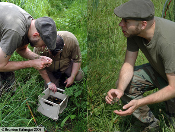 The Semiotic Theory of Iconic Realism: Understanding the Arts through ...