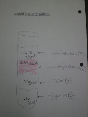 Mr. Williams 6th Grade Science Blog: Liquid Density Column