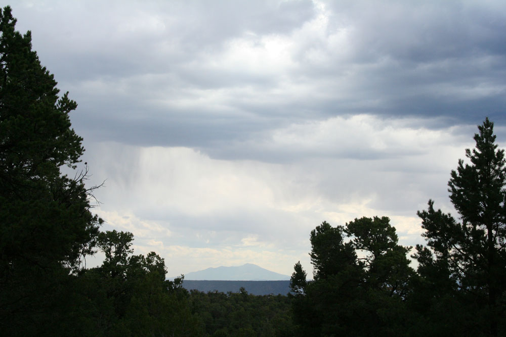 No Fixed Address: Tusayan ruins