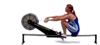 Fight in the Dog: Static vs. Dynamic ergs - Rowperfect Comments - Women ...