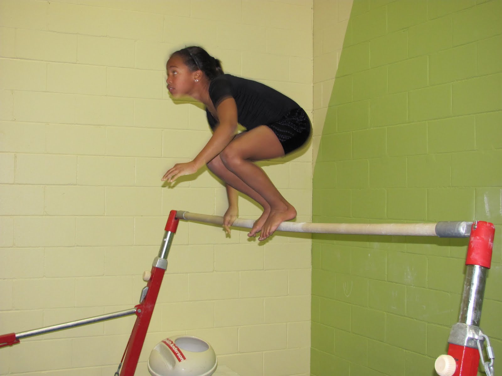 compétitrices 2009-2010: Alicia Beaudoin