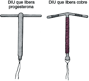 Clã Filhas da Lua: DIU - Dispositivo Intra Uterino