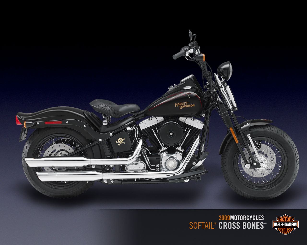 Harley Davidson Softail Crossbones | Free HD Wallpaper