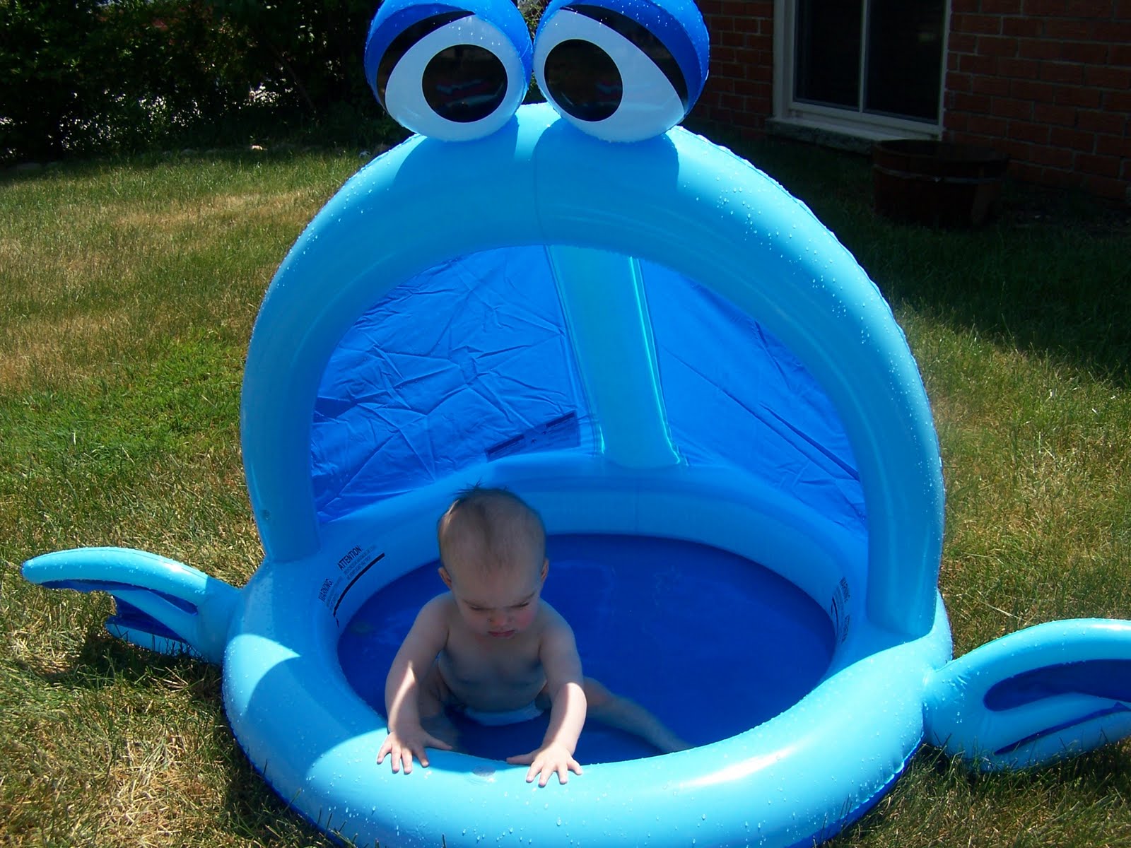 Life's Little Adventures with John, Lyn & Aubrey!: First time in the ...