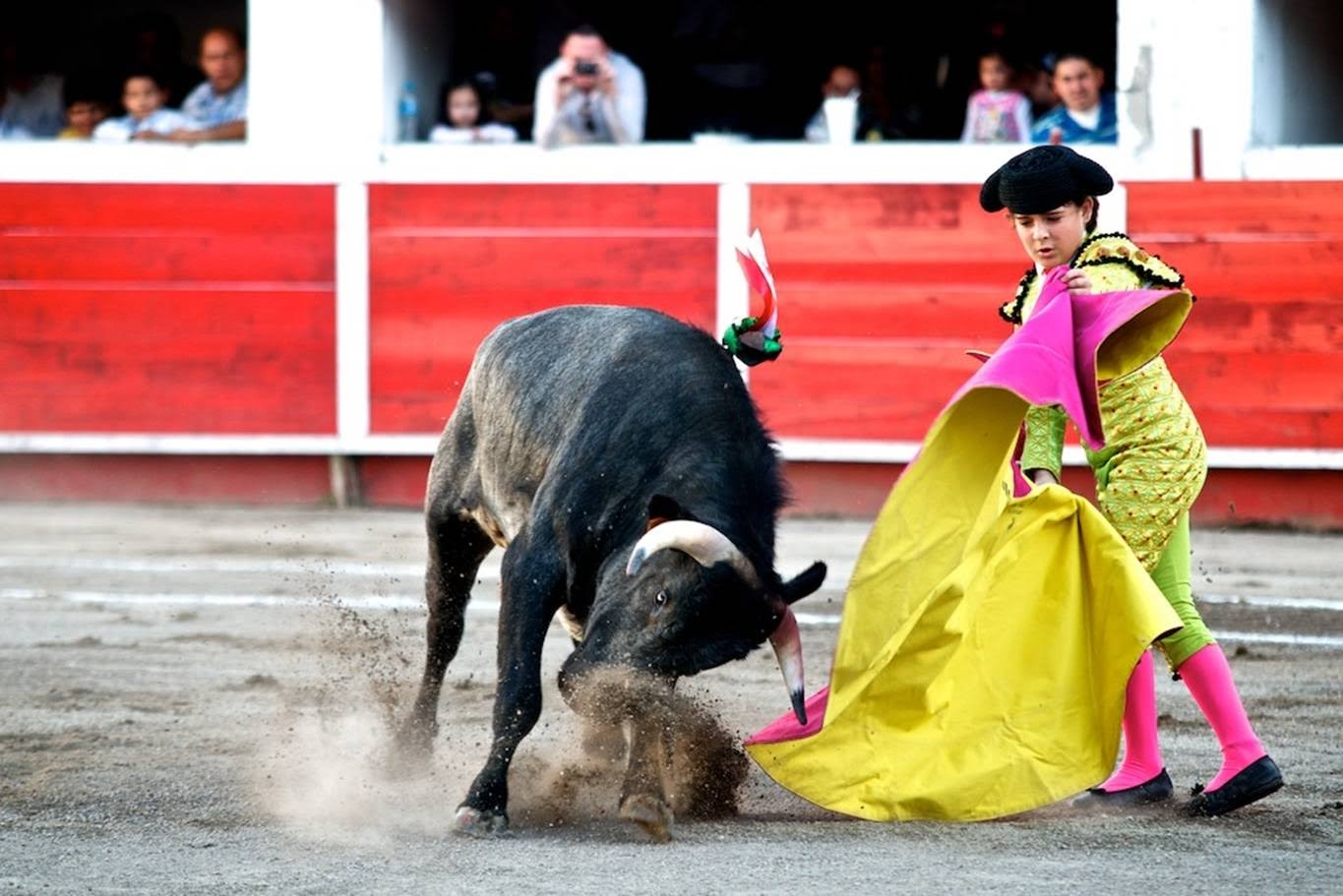 TORO PRENSA PERU: el capote de MICHELITO, "hecho en PERU" por la ...