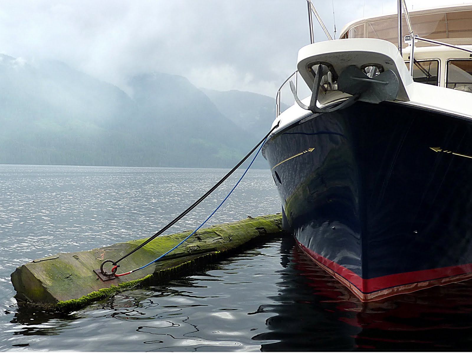 m/v WILD BLUE Cruising Blog: #30 Port Alice and Julian Cove