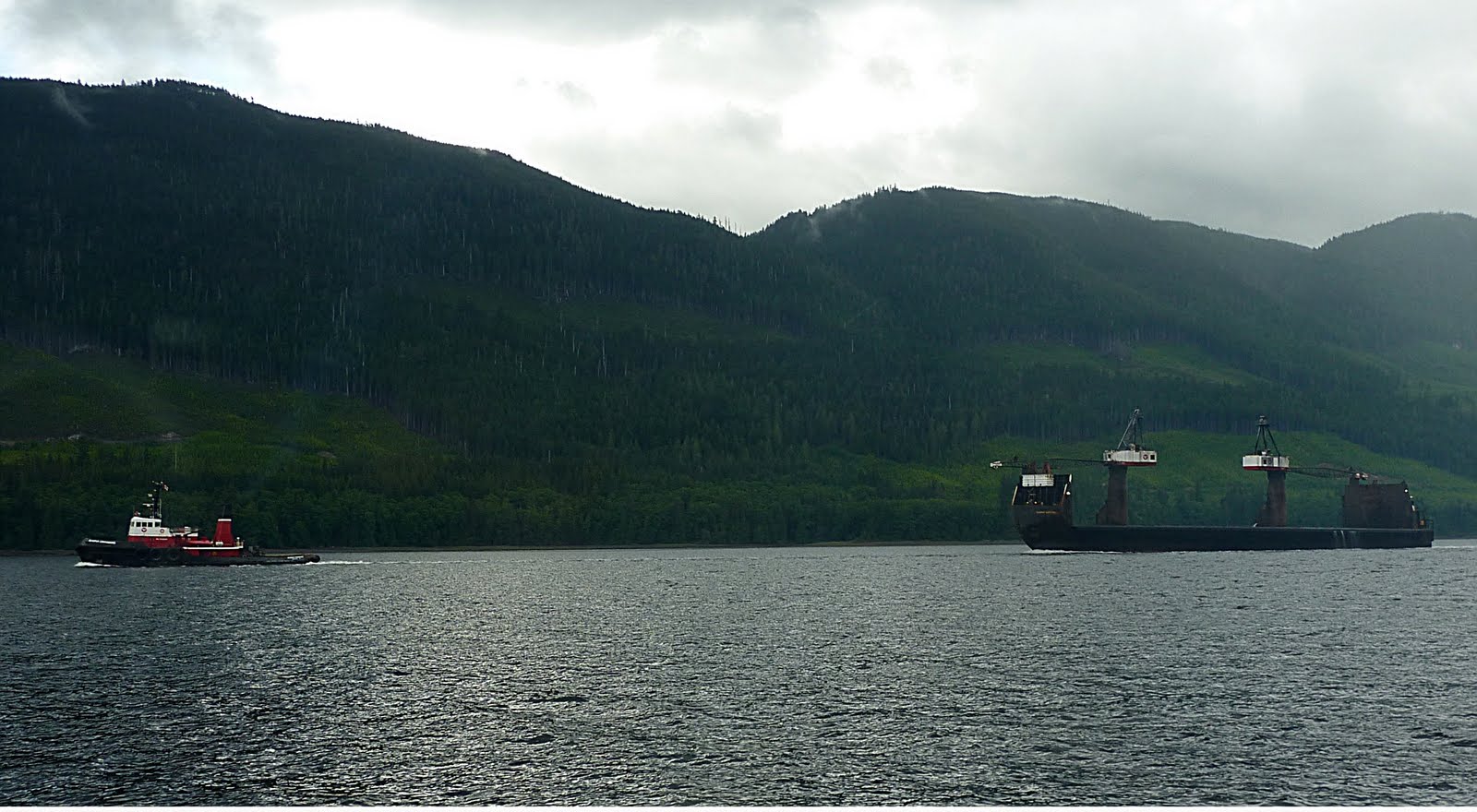 m/v WILD BLUE Cruising Blog: #30 Port Alice and Julian Cove