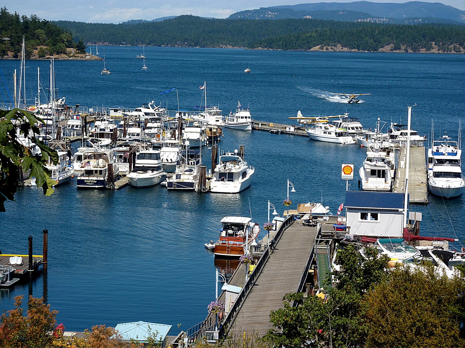 m/v WILD BLUE Cruising Blog: #49 Friday Harbor