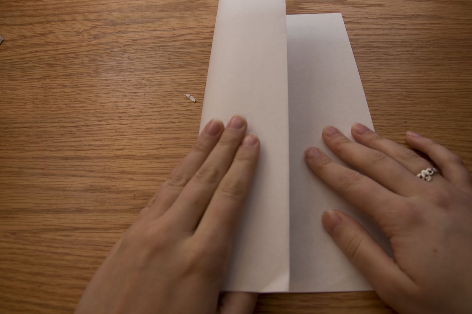 Casey's Process: The Process of: Making a Paper Airplane