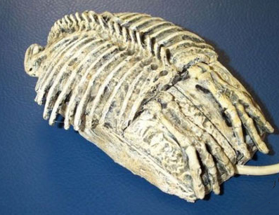 Top 10 mouses estranhos | TechGB