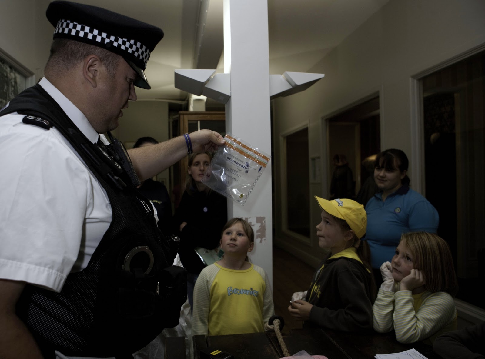The Brownies & the Mystery of the Missing Castle Rushen Ruby - North ...
