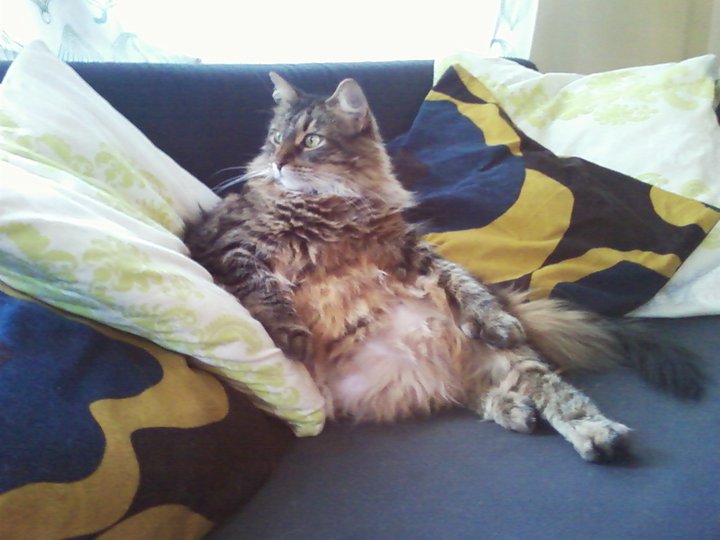 LOL/OMG: This Week in (Uploaded) Pictures