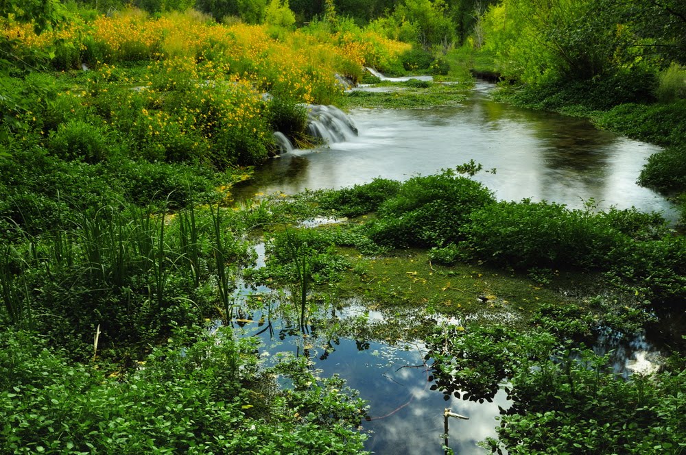 Photography of Lowell Harris: Cascade Springs behind Mount Timpanogos