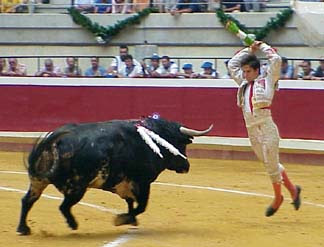 TOROS: banderilleros