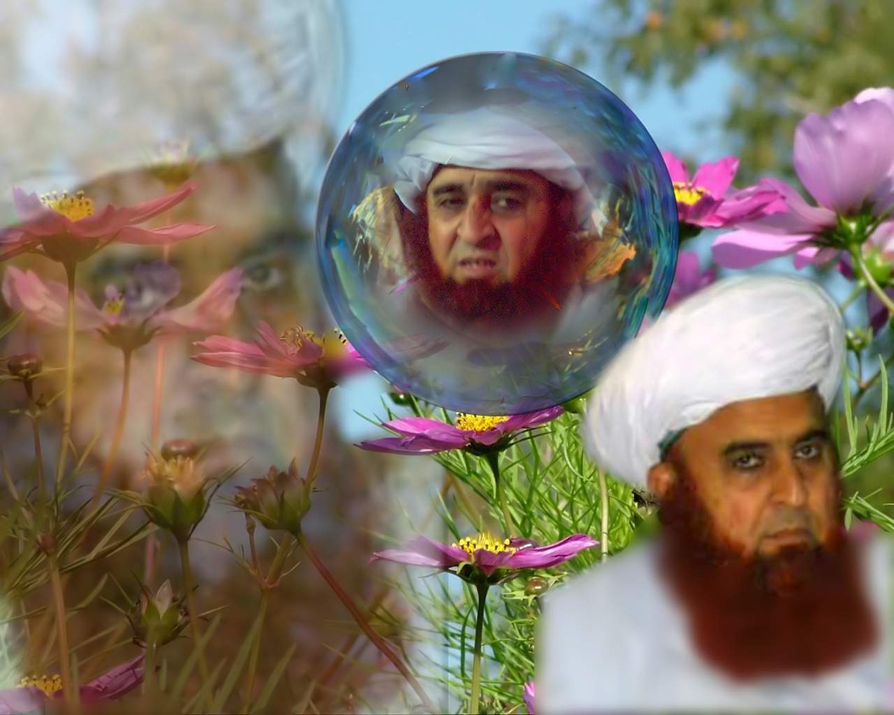 mian muhammad hanafi saifi: mian muhammad hanafi saifi