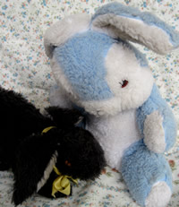 Flutterby Patch: July 2010