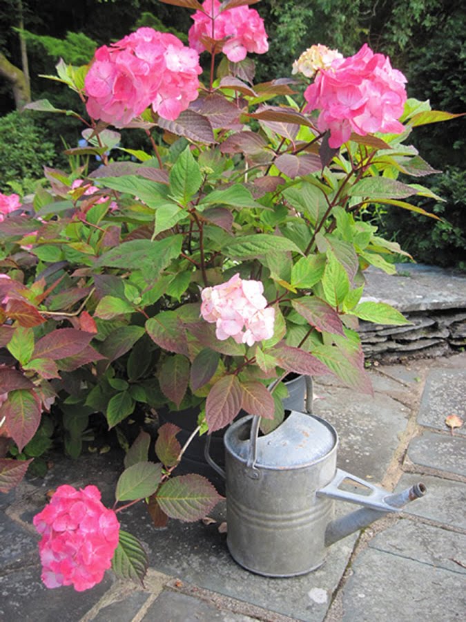 Flutterby Patch: September 2010