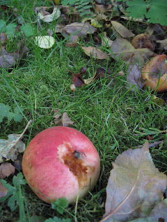 Flutterby Patch: October 2010