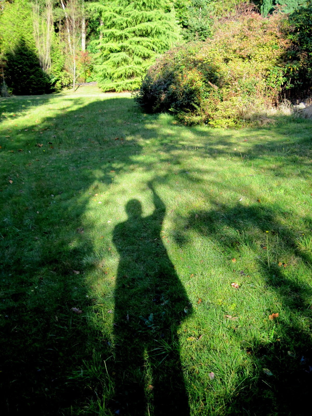 Flutterby Patch: October 2010