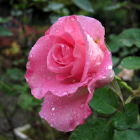 Flutterby Patch: October 2010