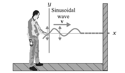 Physics Complete: Physics Mechanics transverse longitudinal waves