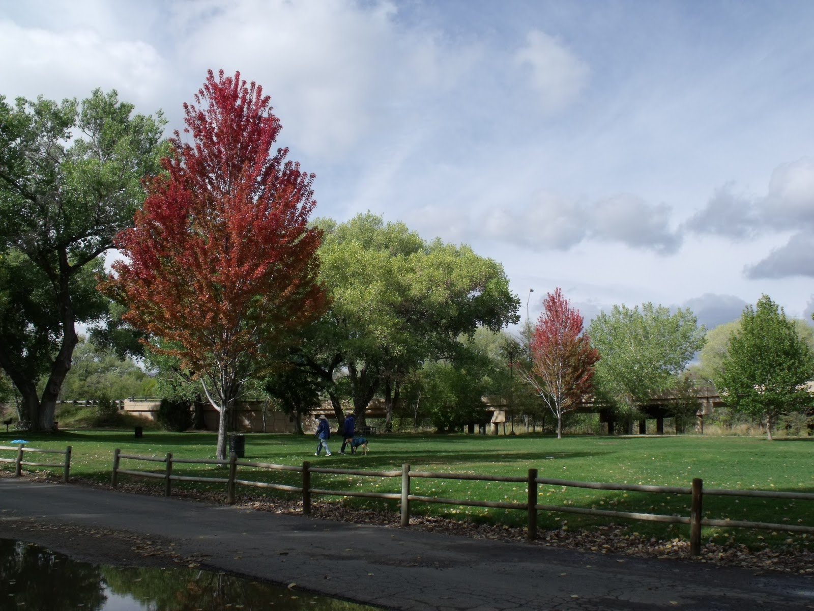 Preskittgurl: Scenes of Fall - In & Around Prescott, Az.