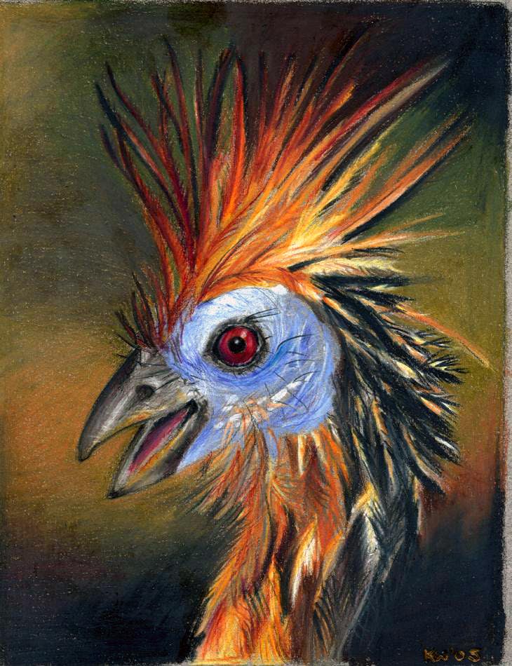 LA CIENCIA DE LA VIDA: ARTE & ZOOLOGÍA (IX). HOATZIN.