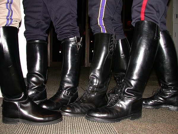 Fairy Tales And Stories For The Bootlovers: Bootlicker's Vacation. By Roger