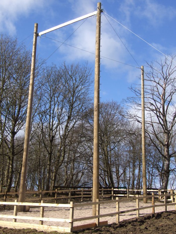 Fordell Firs Blog: King Swing