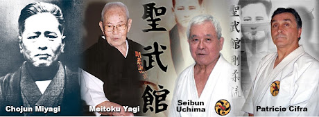 KIDOKAN: HISTORIA DEL GOJU RYU KARATE DO.