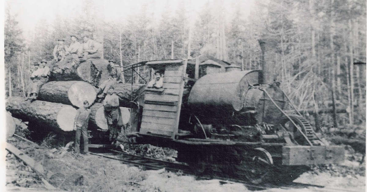 Shoreline Area News: LFP History #1: Logging railroad along Lyon Creek