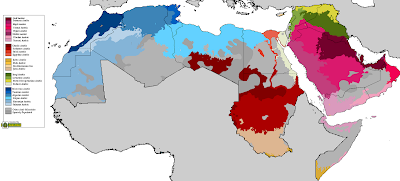 Language Continuity: The expansion of Arabic