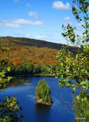 Retreading the Forest: Stendhal’s Syndrome or Hyperkulturemia