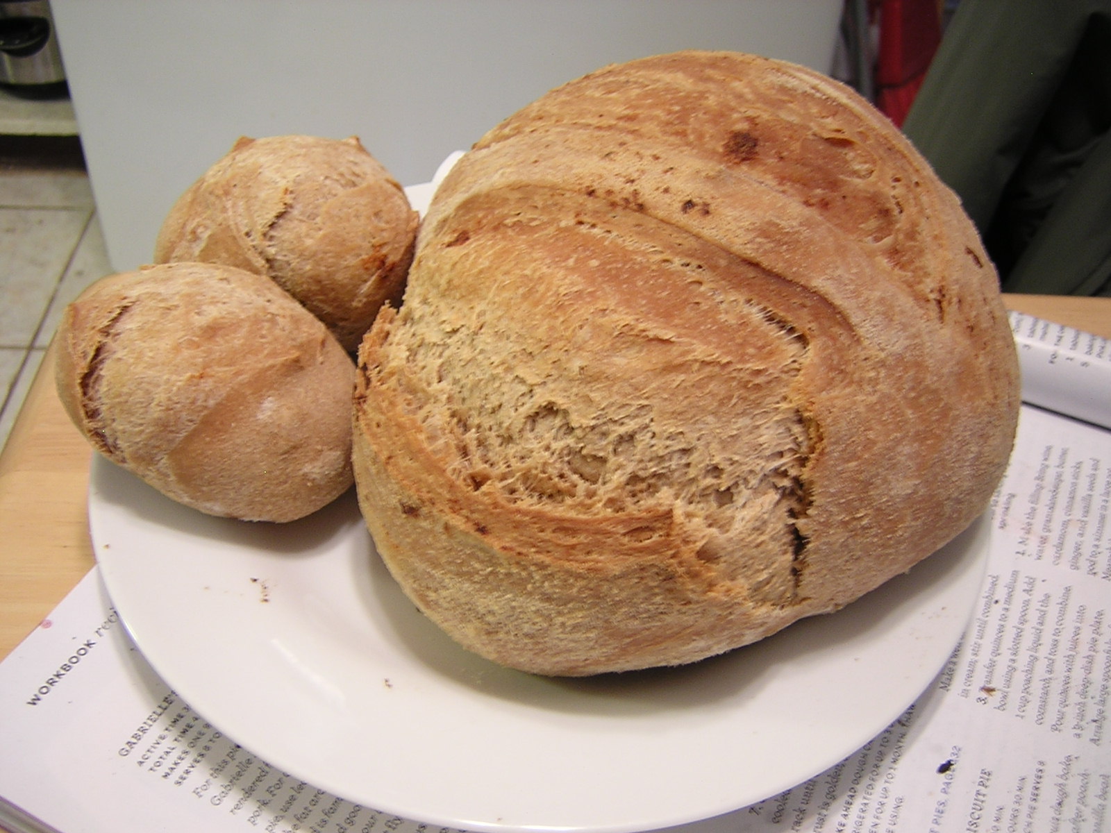Pollinators On The Brain: Bread Before and After (100% Whole Wheat)