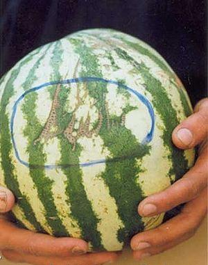 Allah Name on Fruit - Islamic Wallpapers, Kaaba, Madina, Ramadan, Eid ...