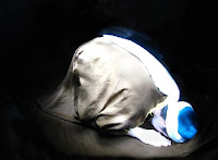 Man Doing Sajda - Islamic Wallpaper - Islamic Wallpapers, Kaaba, Madina ...