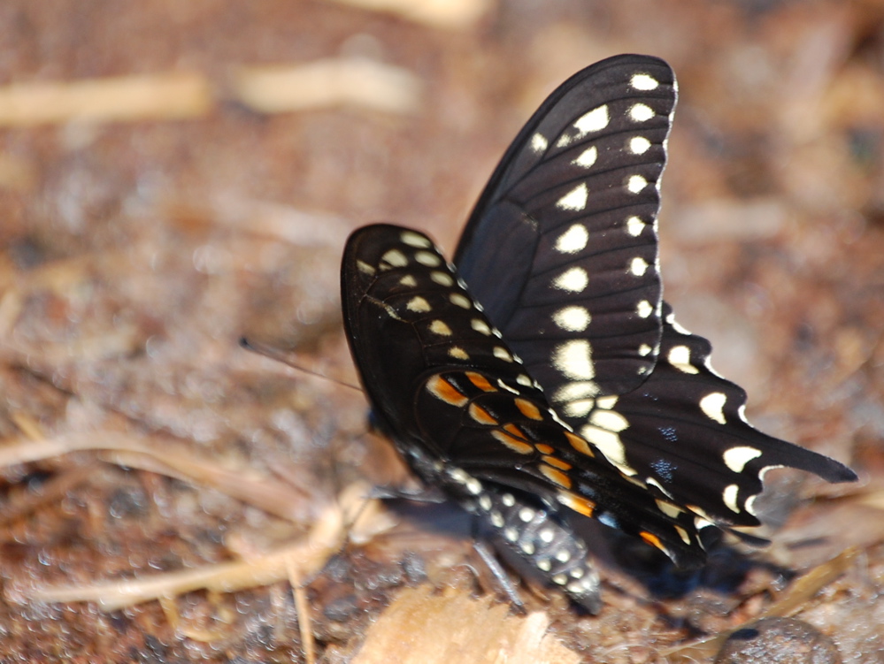 Picture This!: August 2010