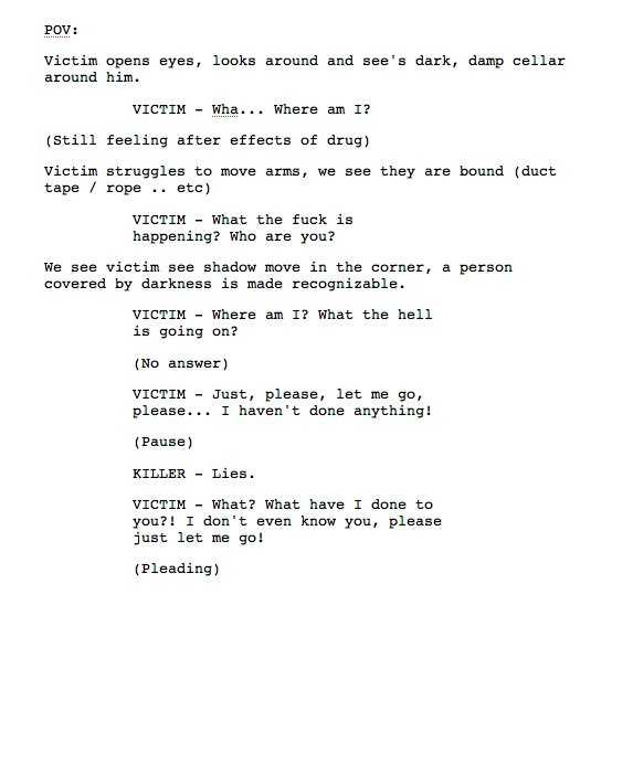Likely Lads Productions: Script for the first 2 minutes.