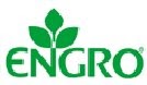 Engro Polymer Logo