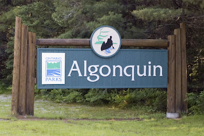 Moose Quest: Algonquin Provincial Park
