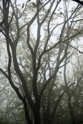 Robert Cameron's photos of Japan