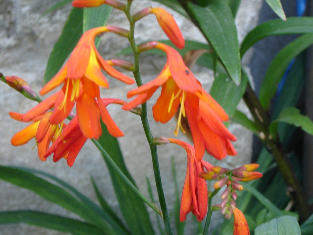 Serial Fileuse: juillet 2010