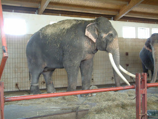 The Circus "NO SPIN ZONE": 11/04/08