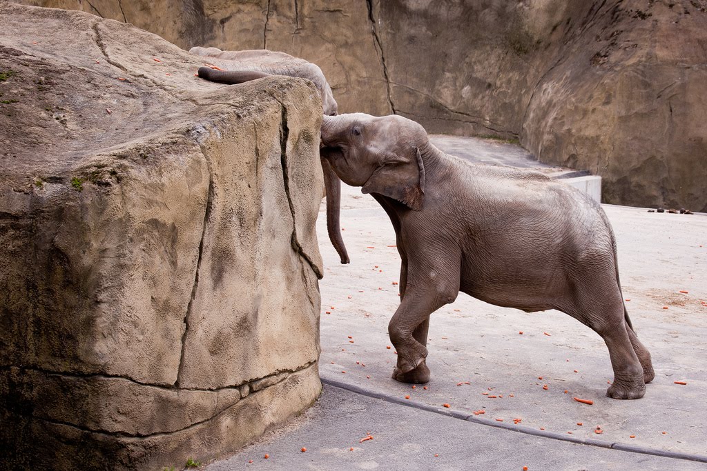 The Circus "NO SPIN ZONE": 11/07/10