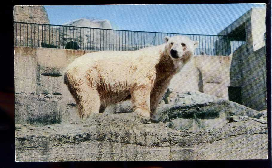 The Circus "NO SPIN ZONE": 12/19/10