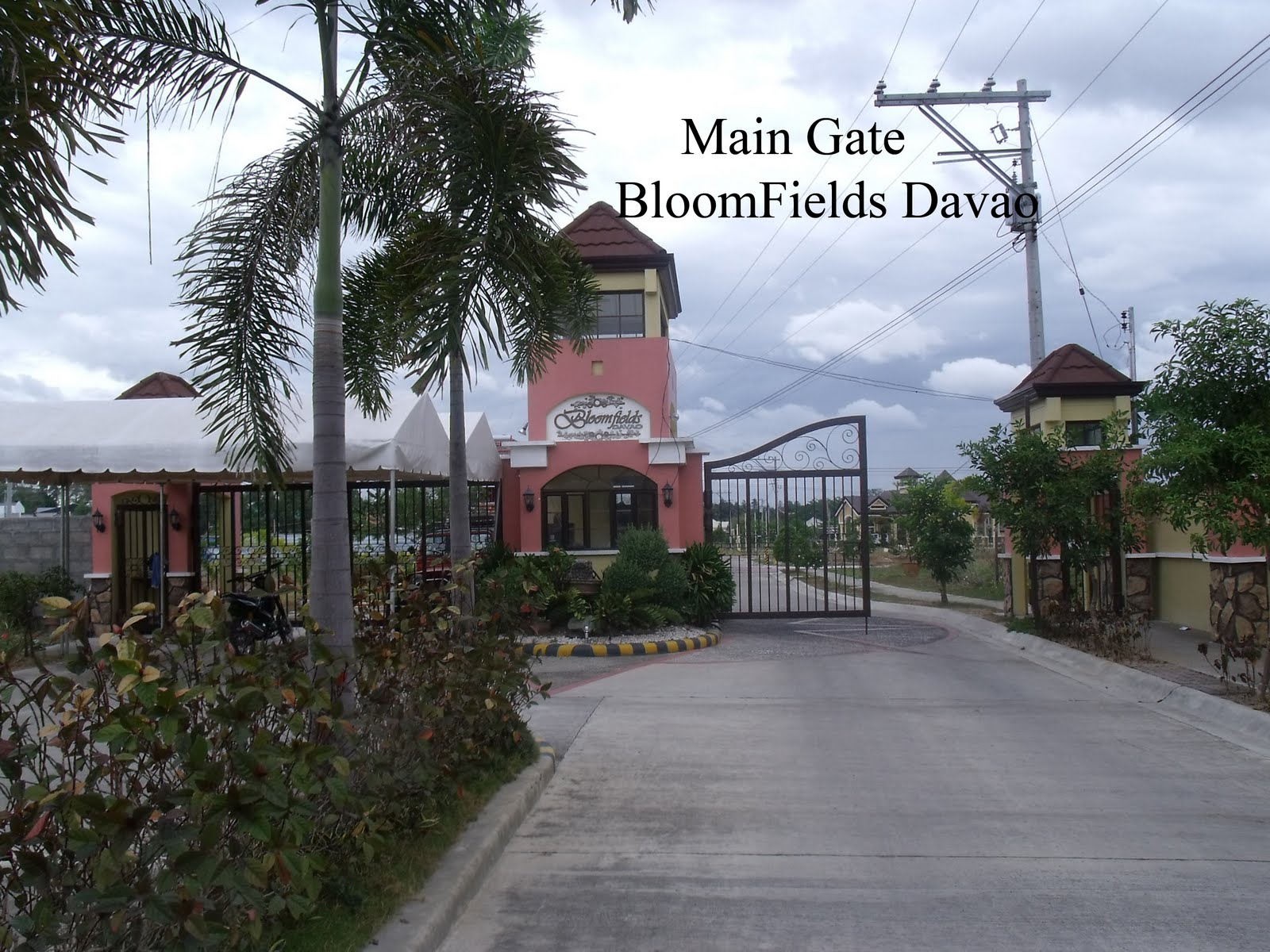 Bloom Fields Lot for Sale: Bloom Fields Davao