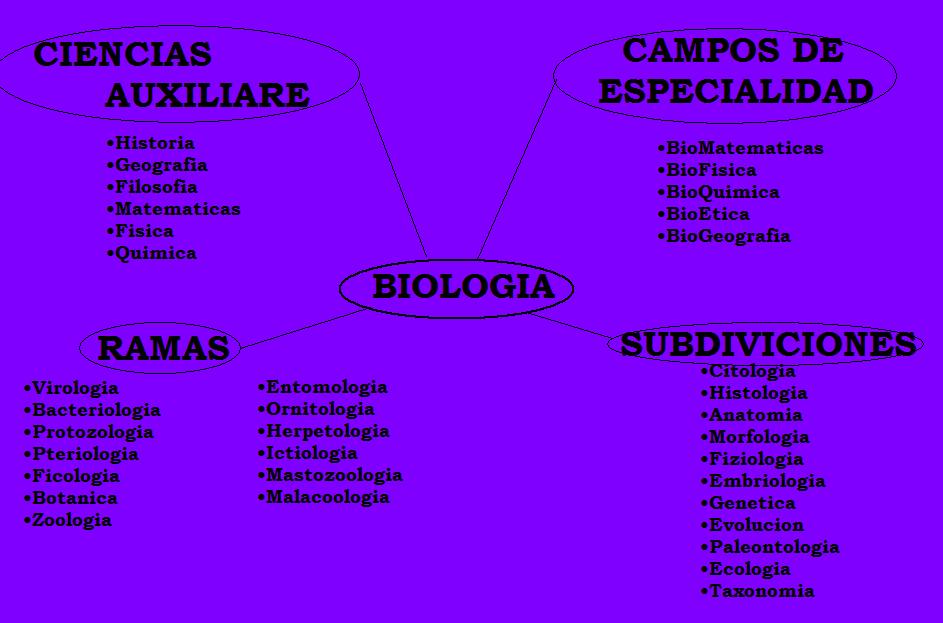 fatiima: RAMAS DE LA BIOLOGIA