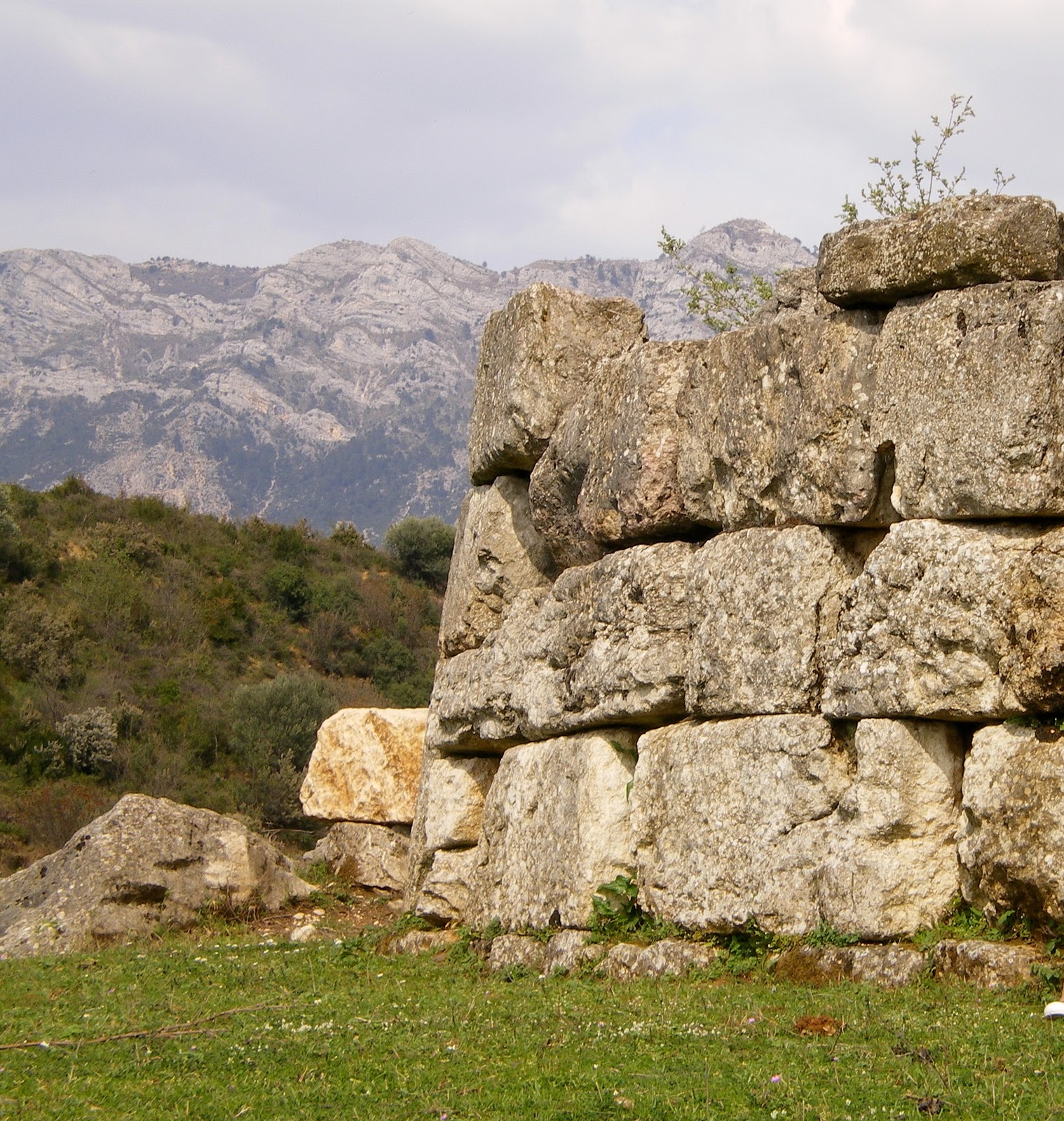 ZALLA: The origin of ZALLA (ALBANIA)